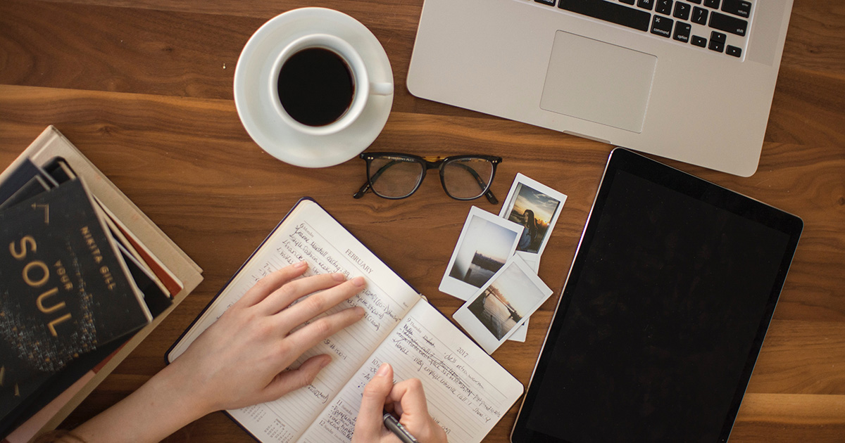Website Design | Curious Rex Design Co.